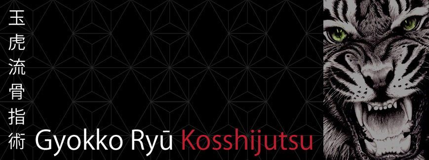 9 Schools of Bujinkan: Gyokko Ryū Kosshijutsu | Ninjutsu