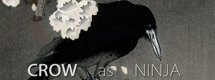 The Crow, Ninja Mascot | Ninjutsu Icon